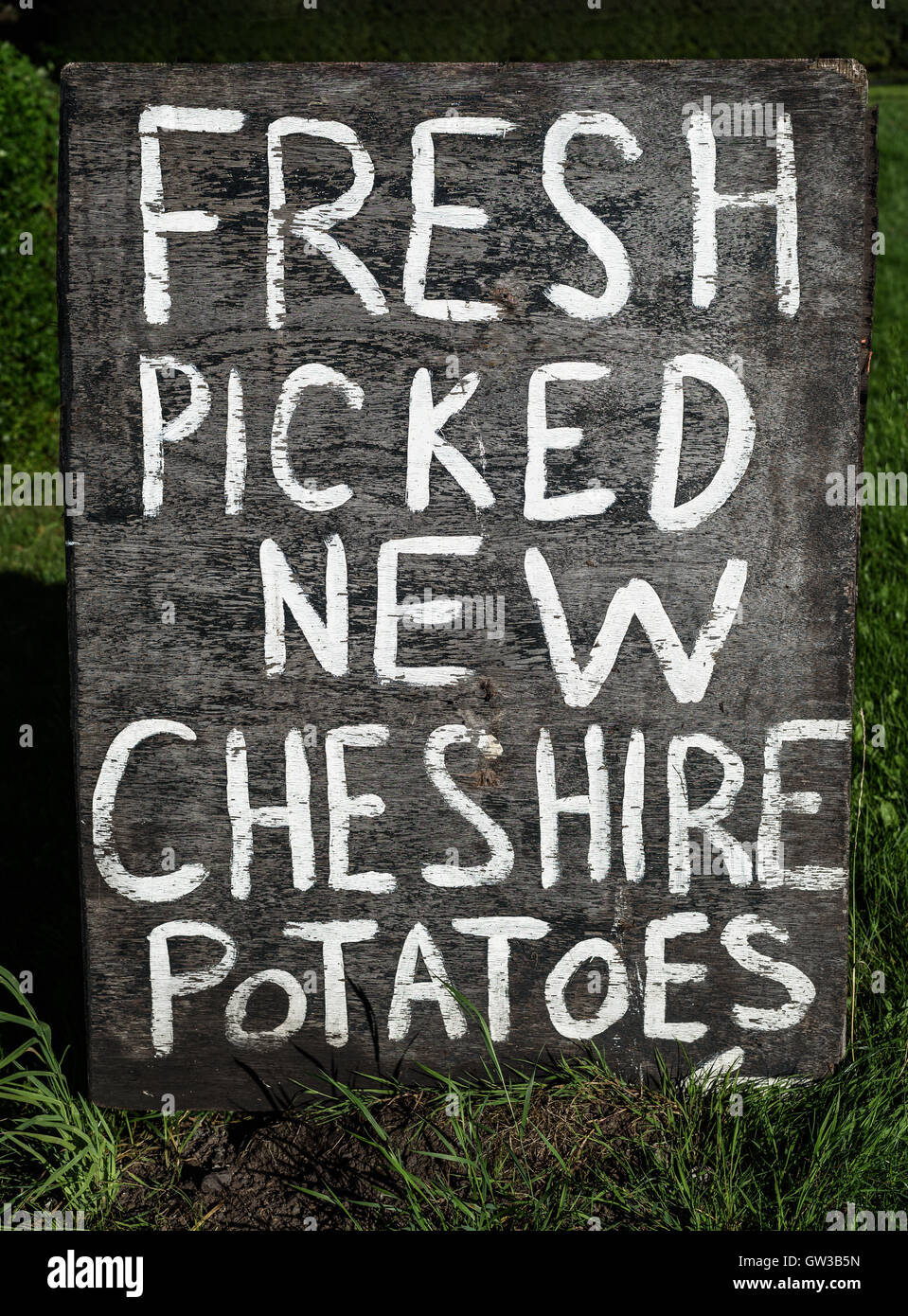 A hand painted rustic farm potato sign Stock Photo - Alamy