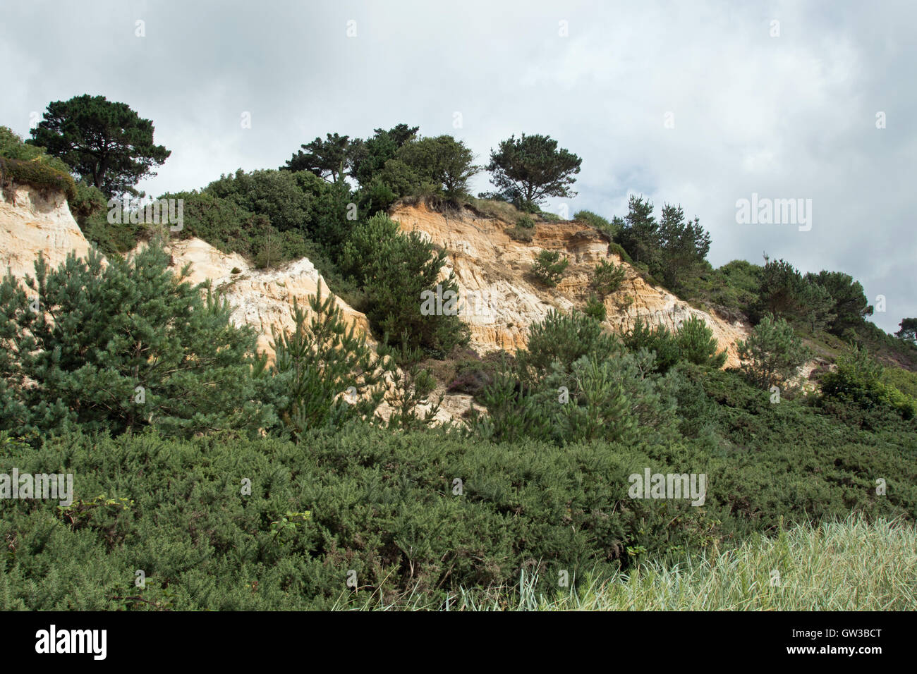 Canford Cliffs, Branksome Chine, overlooking Poole Bay, Dorset, UK ...