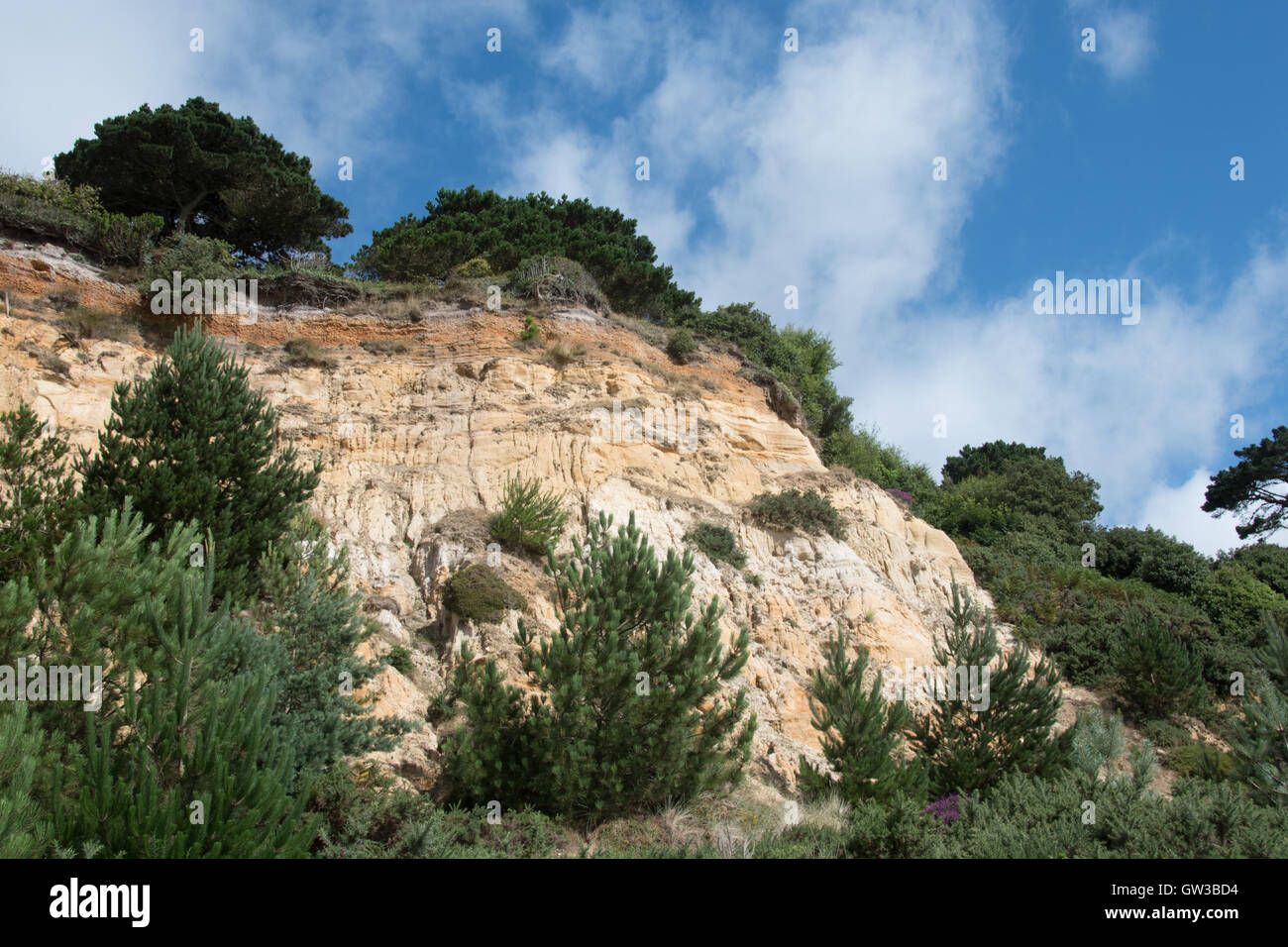 Canford Cliffs, Branksome Chine, overlooking Poole Bay, Dorset, UK ...