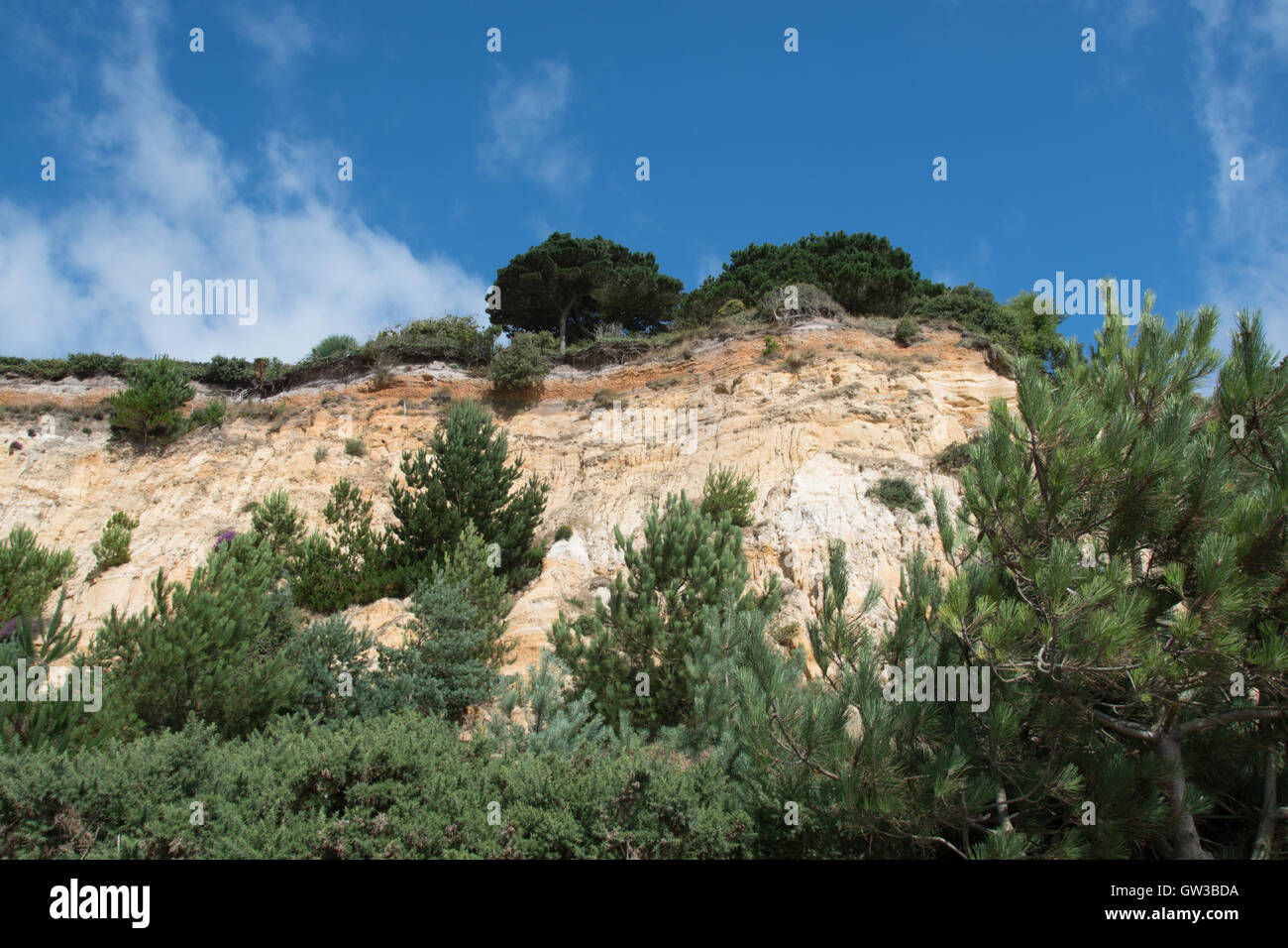 Canford Cliffs, Branksome Chine, overlooking Poole Bay, Dorset, UK ...