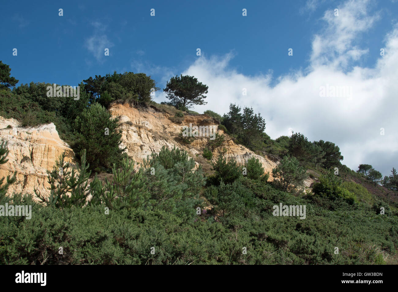 Canford Cliffs, Branksome Chine, overlooking Poole Bay, Dorset, UK ...