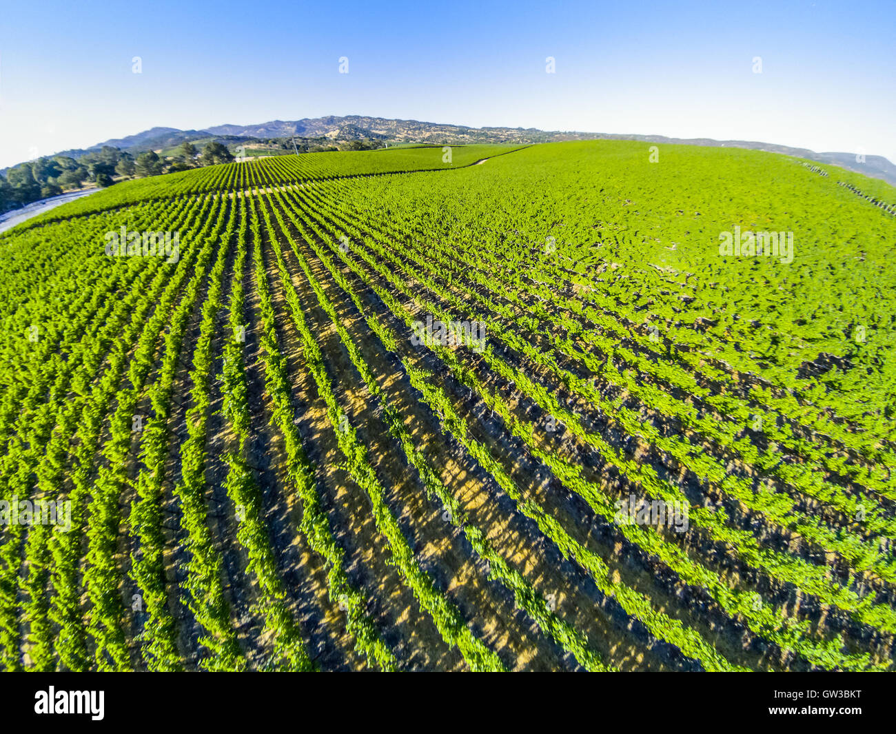 Napa valley vineyard panoramic hi-res stock photography and images - Alamy