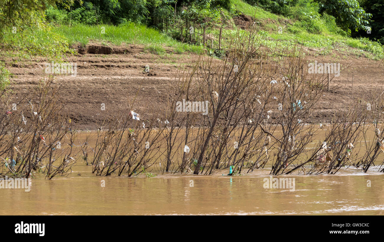 Debris caught in bushes hi-res stock photography and images - Alamy