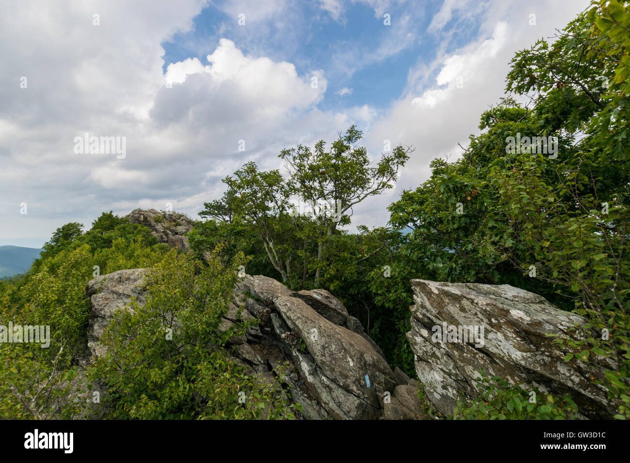 Bearfence Mountain Landscape in Shenandoah National Park, Virginia ...