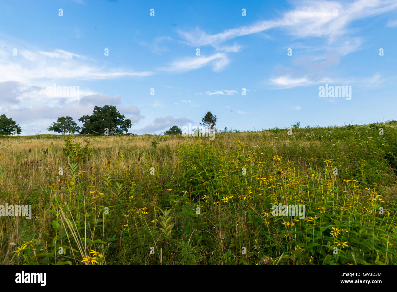 Big Meadow on Overlook Drive Shenandoah National Park, Virginia Stock ...