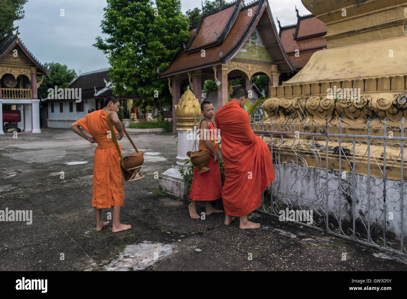 Bare-foot Buddhist monks in saffron robes preparing for the alms-giving ...