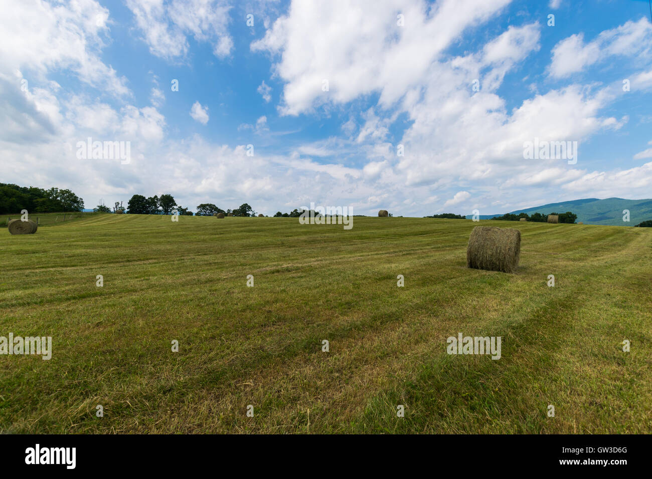 Elkton east hi-res stock photography and images - Alamy