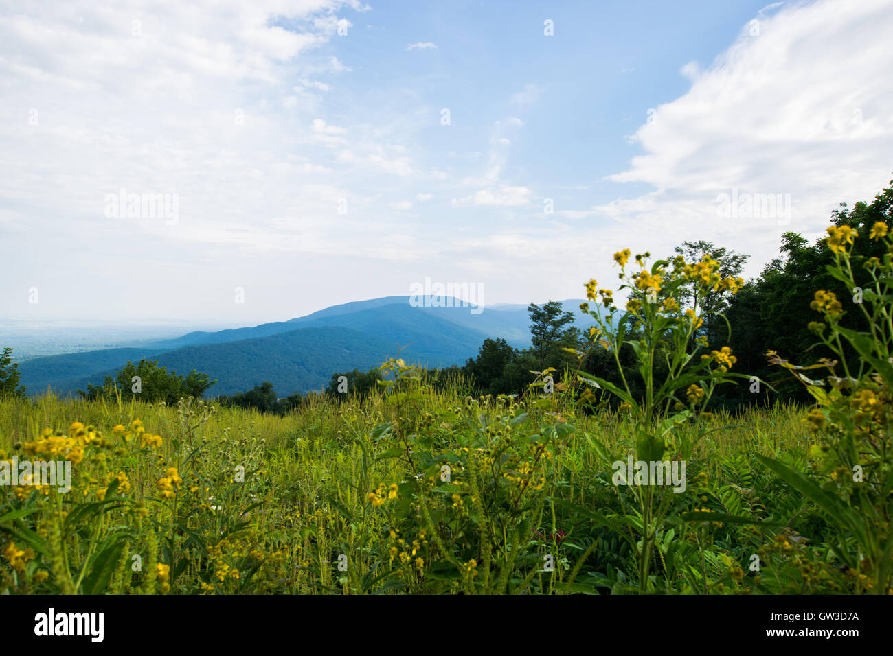 Scenic Summer Landscape on Overlook Drive Shenandoah National Park, Virginia Stock Photo - Alamy