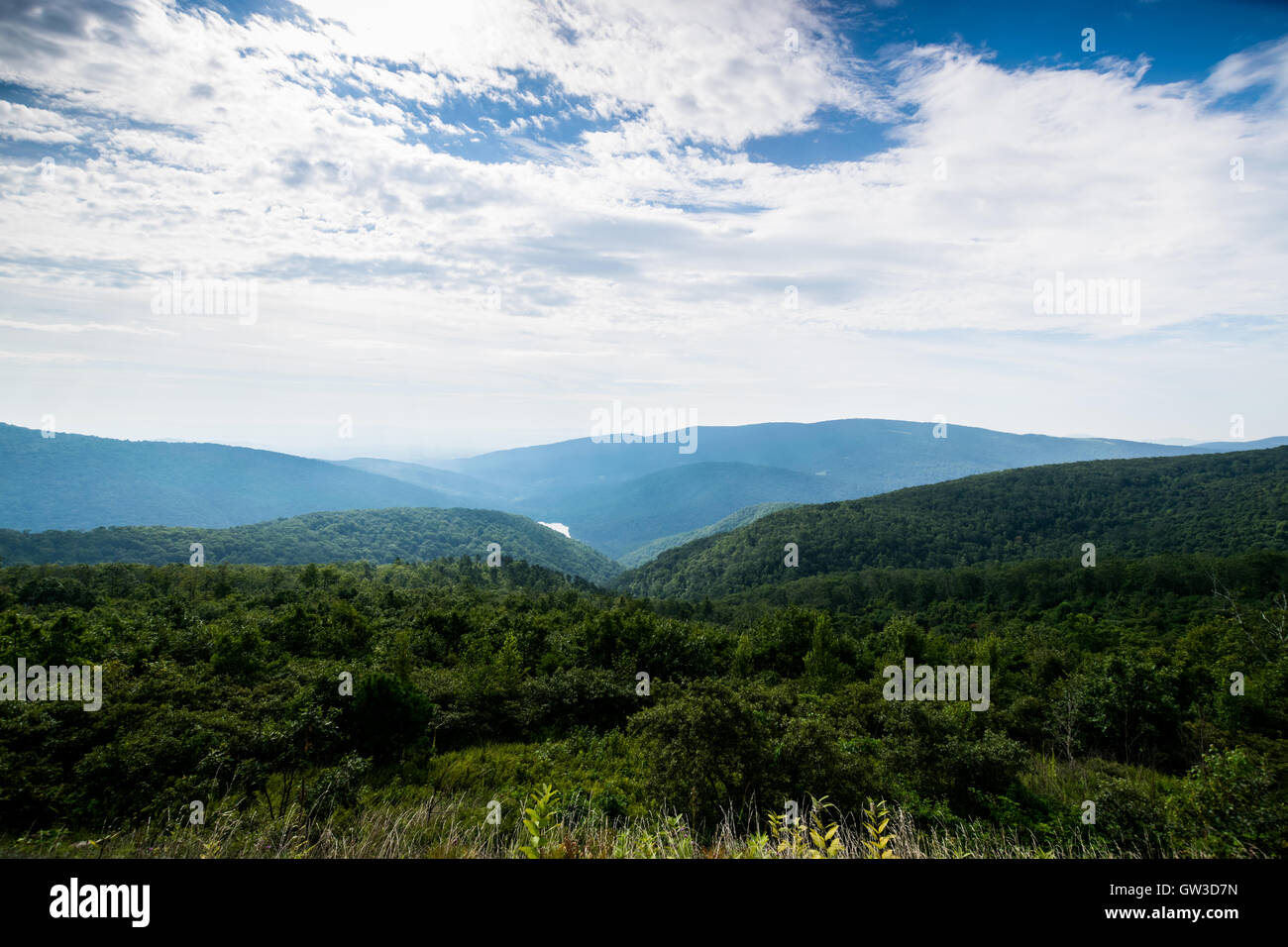 Scenic Summer Landscape on Overlook Drive Shenandoah National Park, Virginia Stock Photo - Alamy
