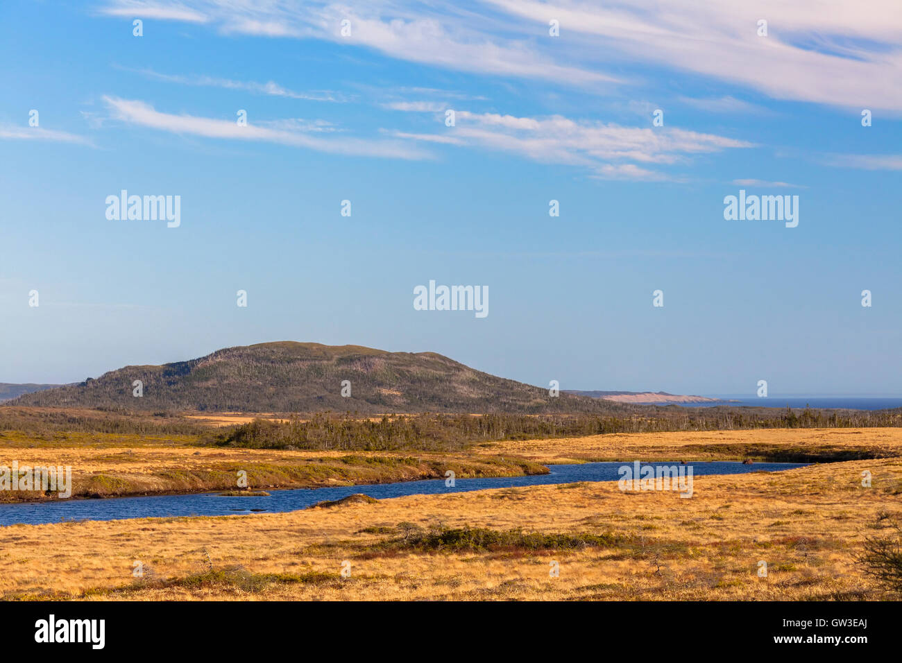 Avalon peninsula newfoundland hi-res stock photography and images - Alamy
