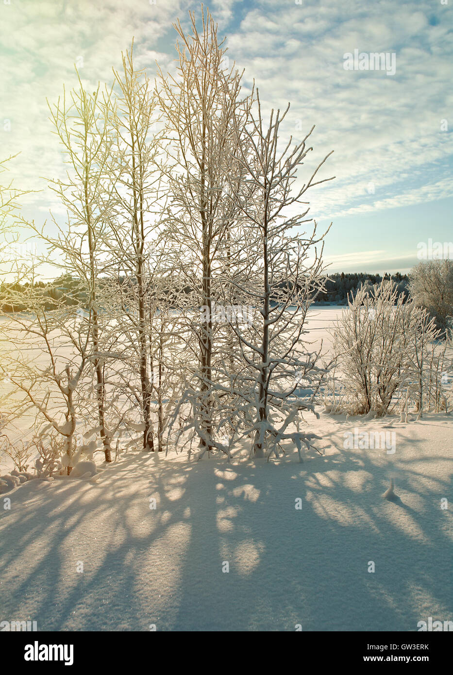 Winter snowdrift landscape.Winter scene Stock Photo - Alamy