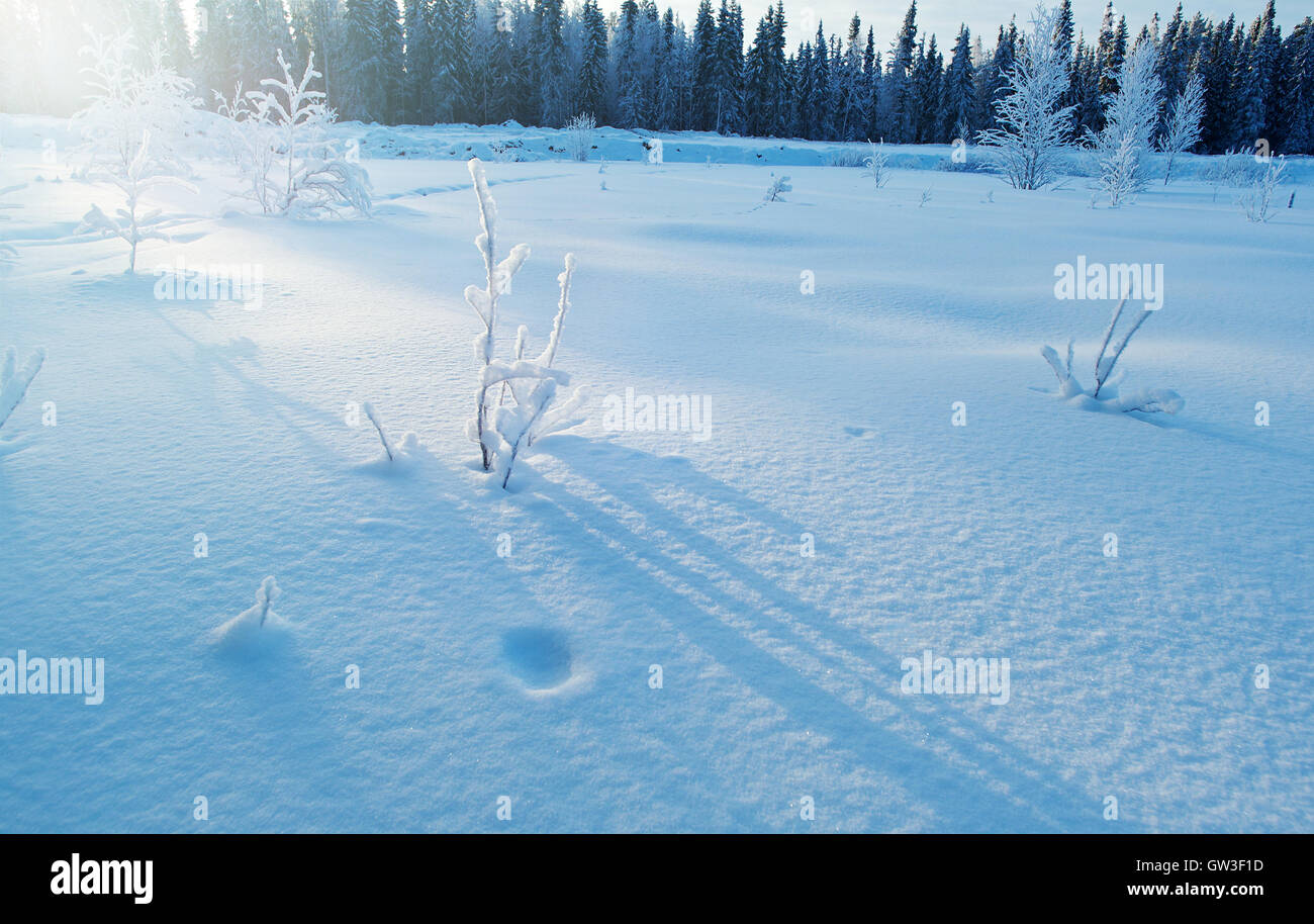 Winter snowdrift landscape.Winter scene Stock Photo - Alamy