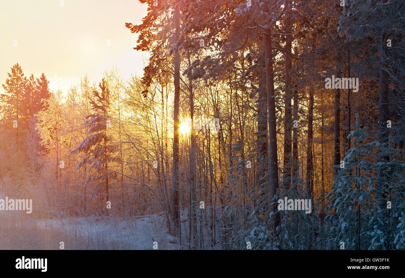 Winter snowdrift landscape.Winter scene Stock Photo - Alamy