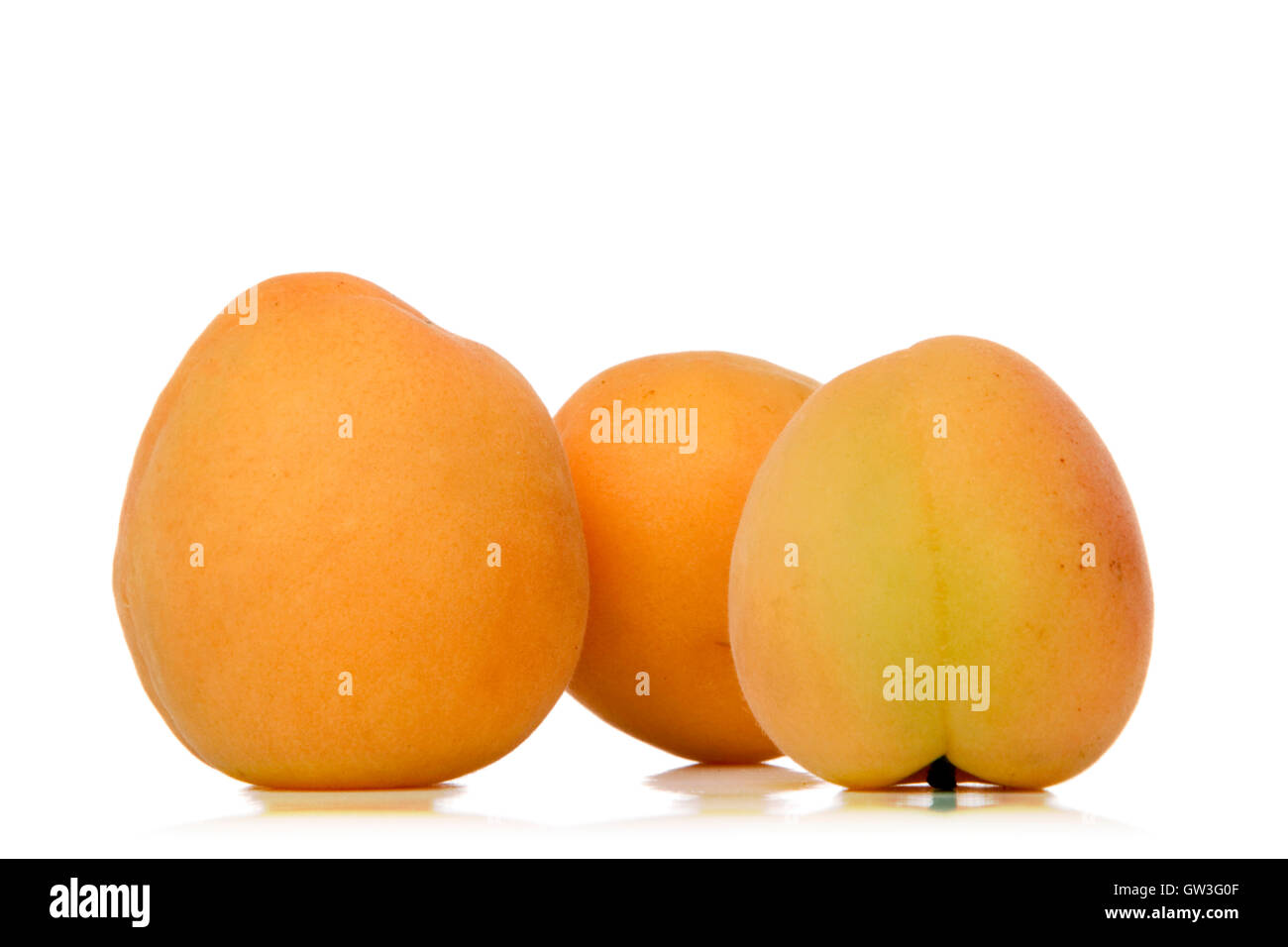 apricots isolated over white background Stock Photo - Alamy