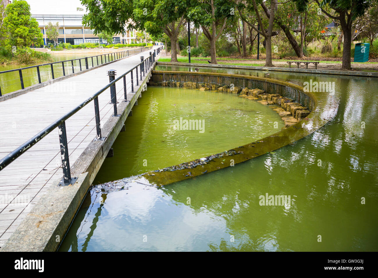 Parks gardens and Walks in Joondalup Western Australia Stock Photo - Alamy