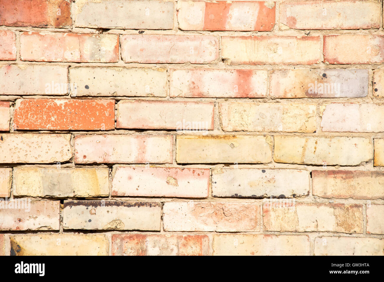 A brick wall built from yellow bricks Stock Photo - Alamy