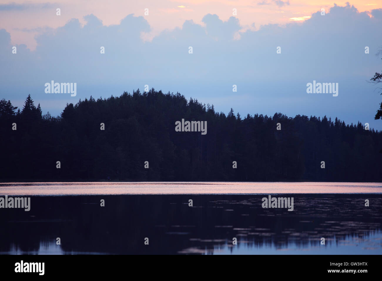 A beautiful sunset at lake and dark forest, Finland Stock Photo - Alamy