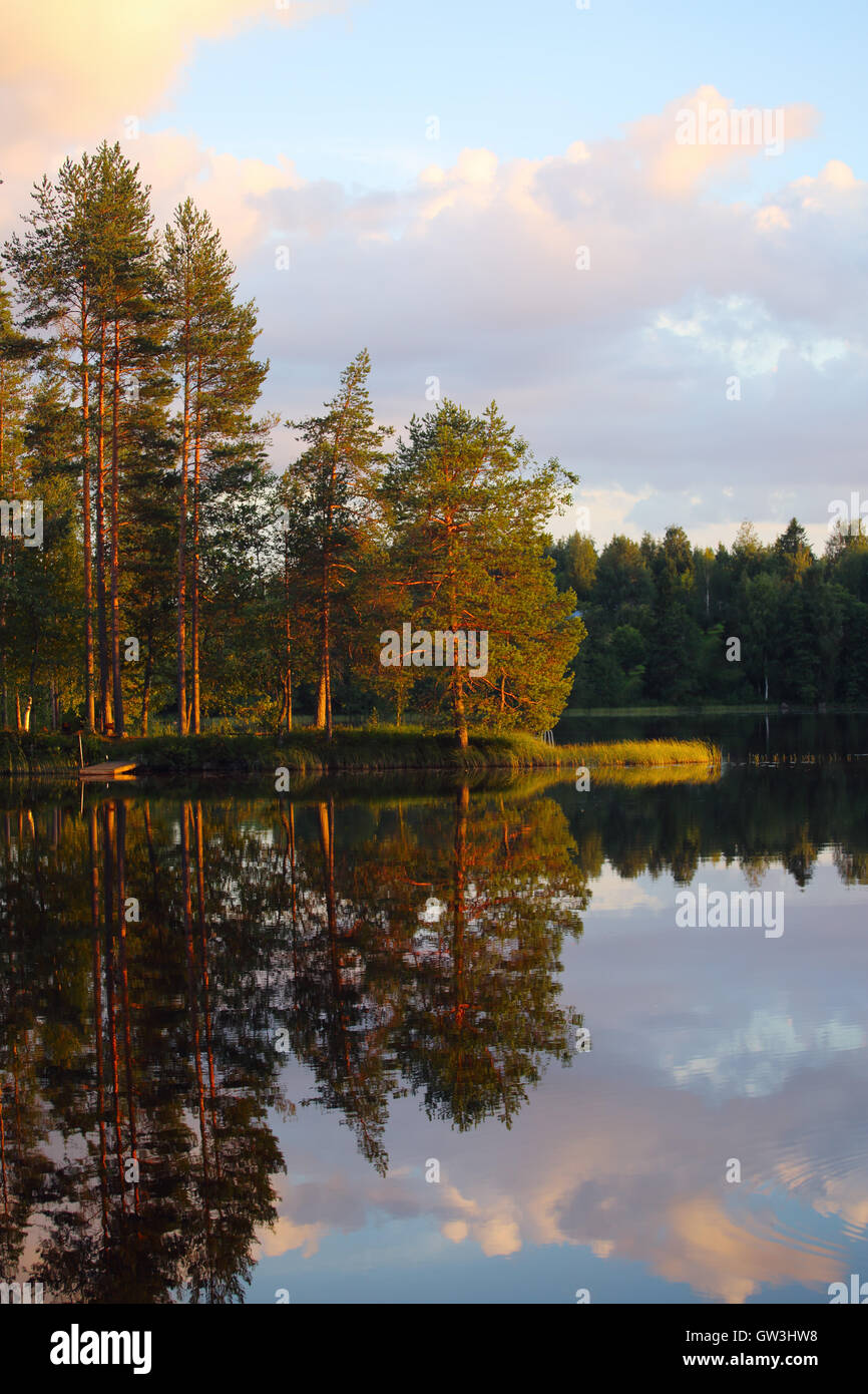 Beautiful sunset over the lake and dark forest Stock Photo - Alamy