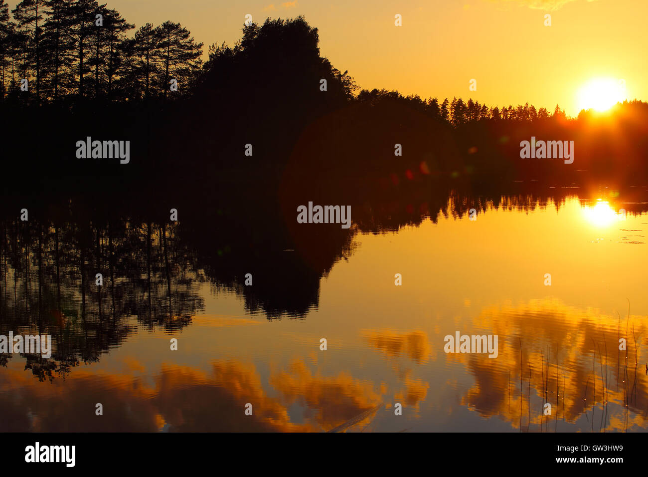 Beautiful sunset over the lake and dark forest Stock Photo - Alamy