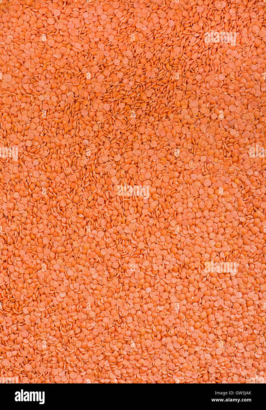 Orange lentil background Stock Photo - Alamy