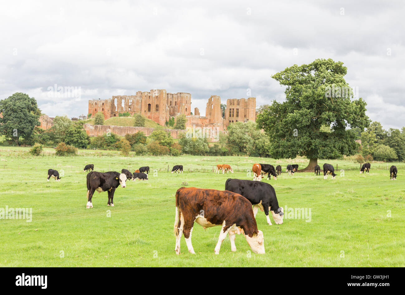Elizabethan era farming hi-res stock photography and images - Alamy