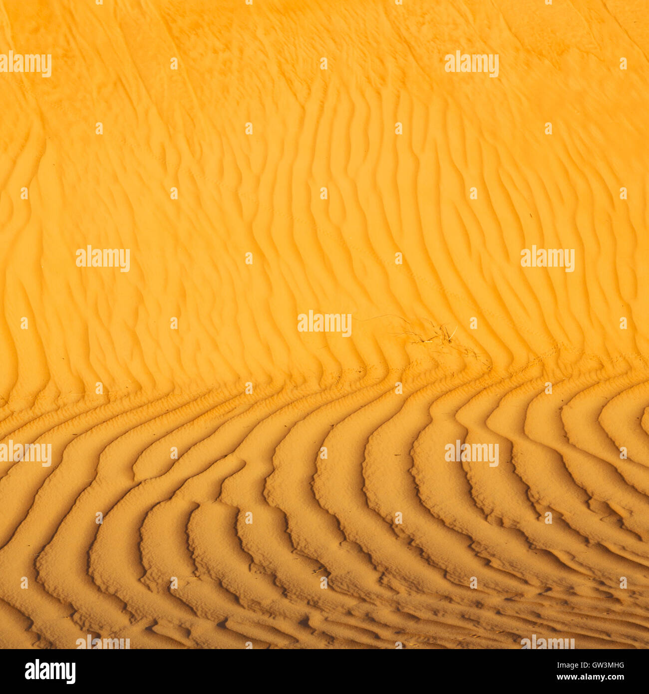 abstract texture line wave in oman the old desert and the empty quarter ...