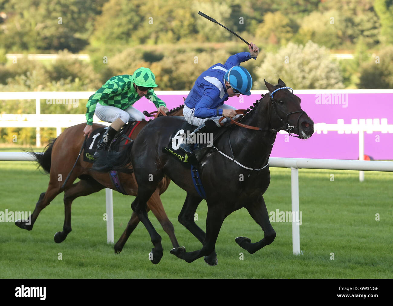 Awtaad ridden by Chris Hayes wins The Clipper Logistics Boomerang ...