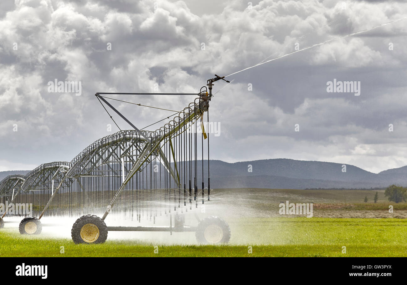 Large farm irrigation sprinkler system watering grass crop Stock Photo ...