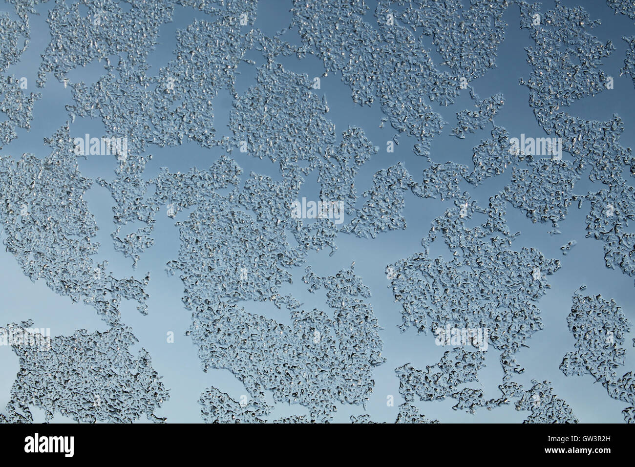 Ice on window screen Stock Photo - Alamy