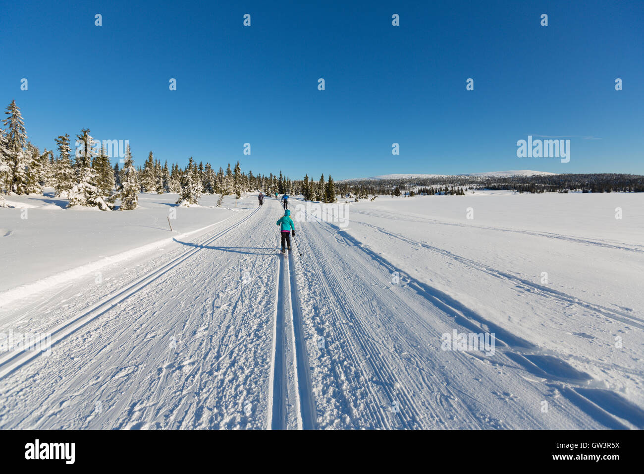 Winter at Sjusjoen in Norway Sunny bright landscape Stock Photo - Alamy
