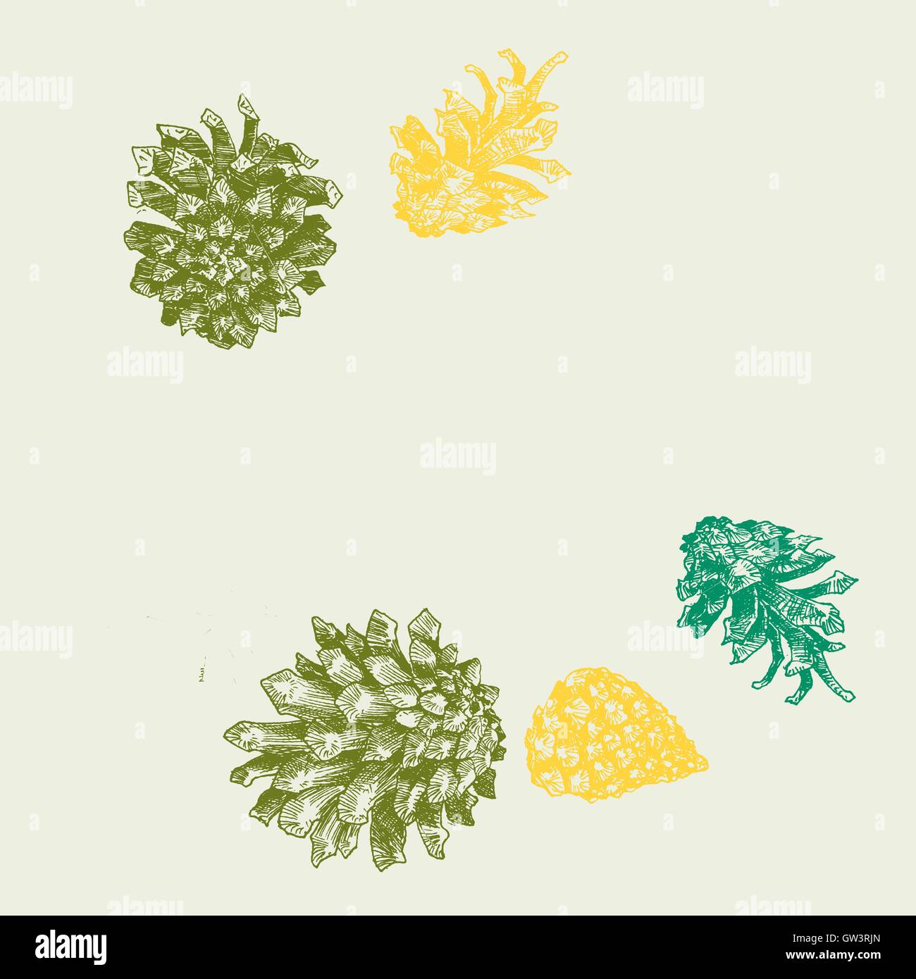 Coniferous tree pine cones in Stock Vector Images - Alamy