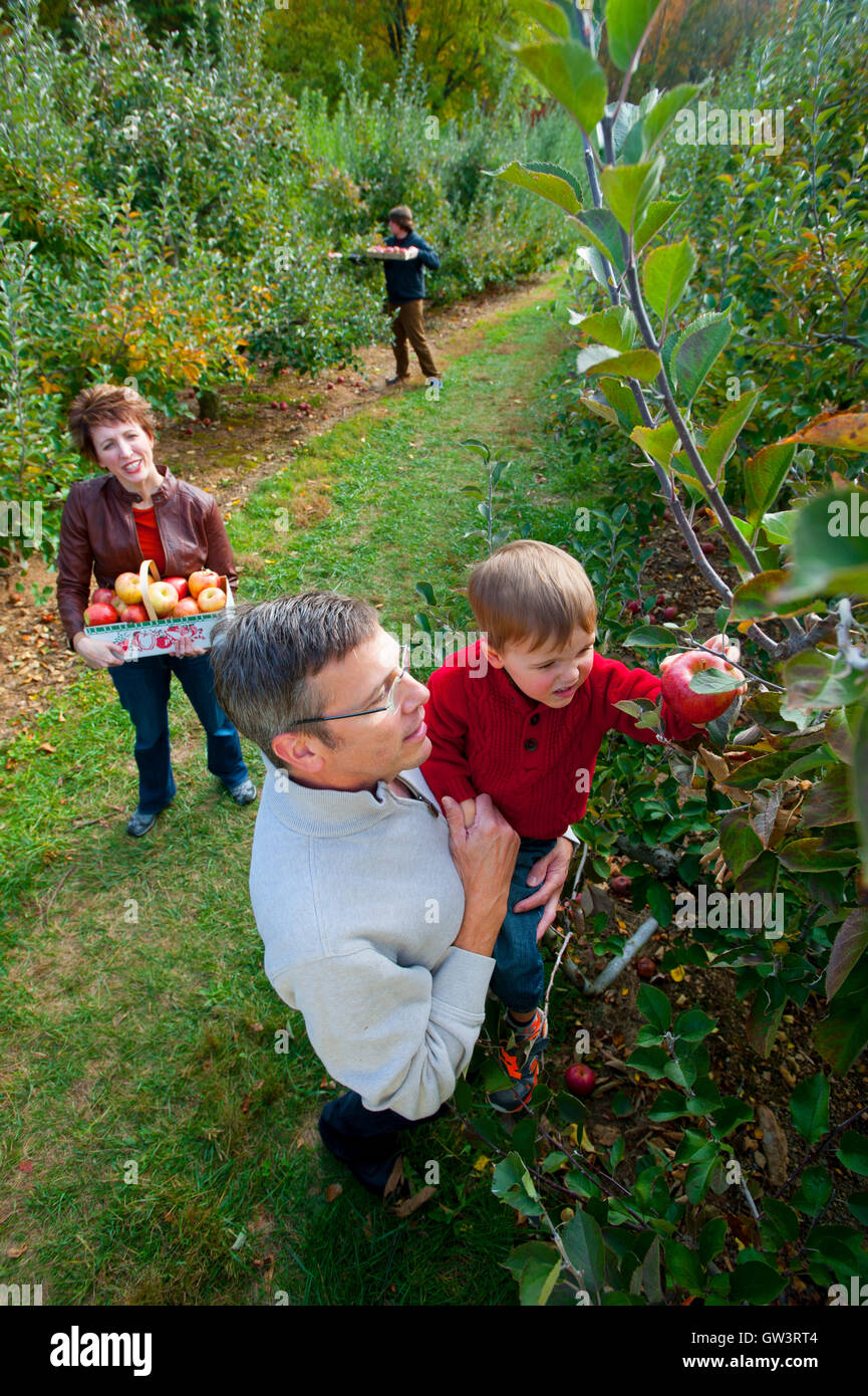 Children picking apples hi-res stock photography and images - Alamy