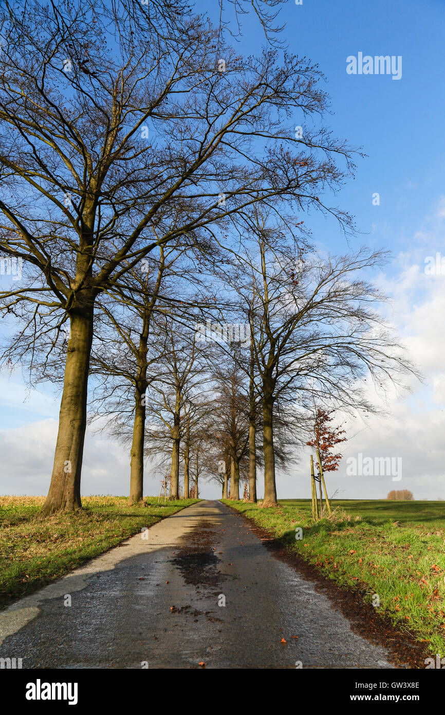 Beautiful fall landscape with blue sunny sky Stock Photo - Alamy