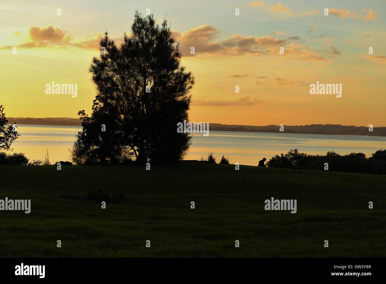 Meola Reef Dog Park, Auckland City, North Island New Zealand Stock ...