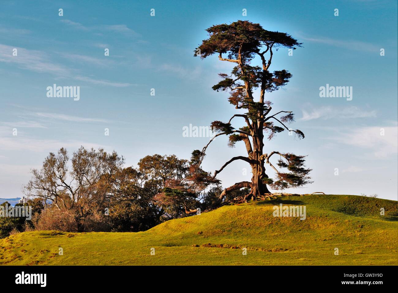 One tree hill new zealand hi-res stock photography and images - Alamy