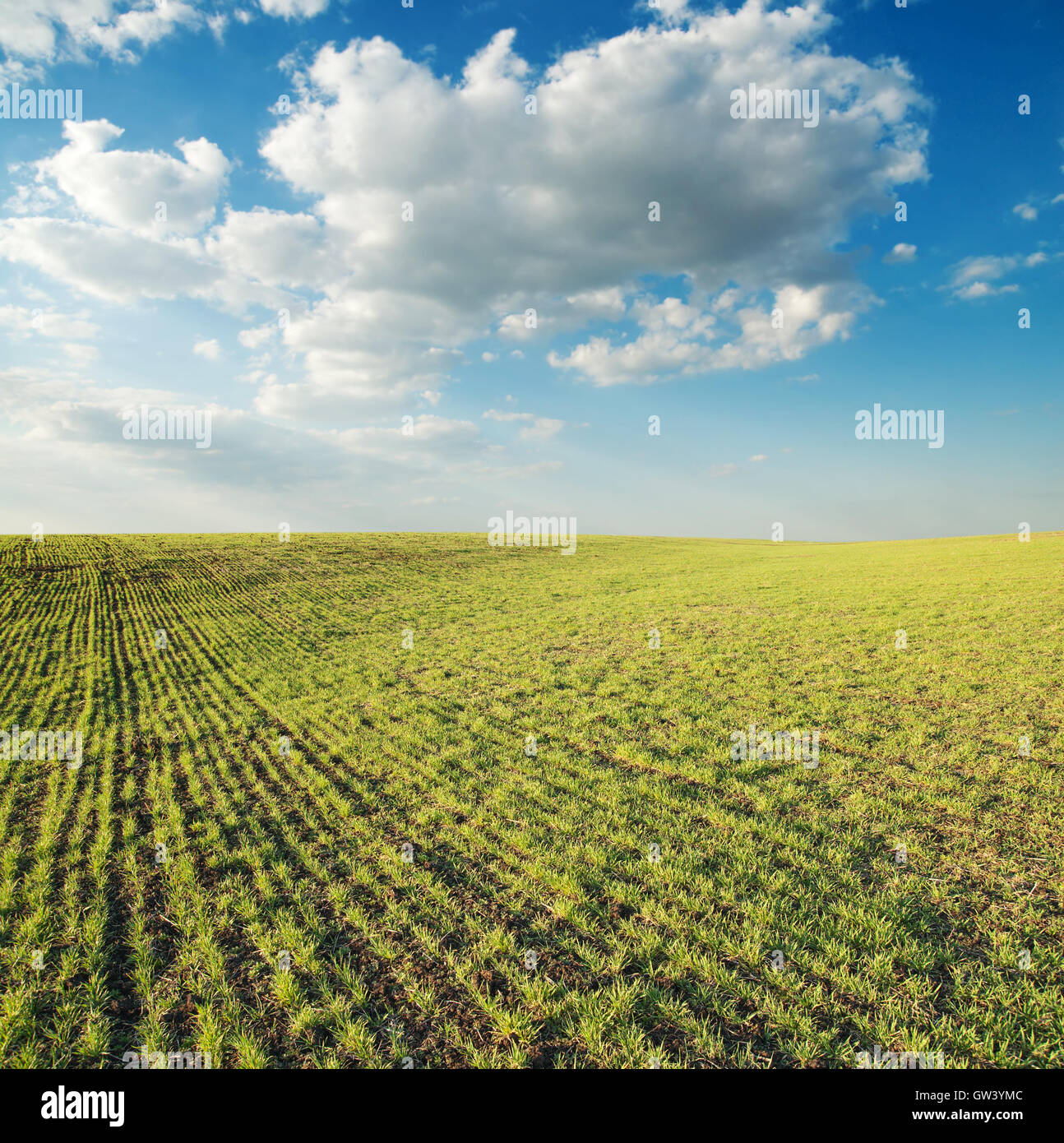 green field under cloudy sky Stock Photo - Alamy