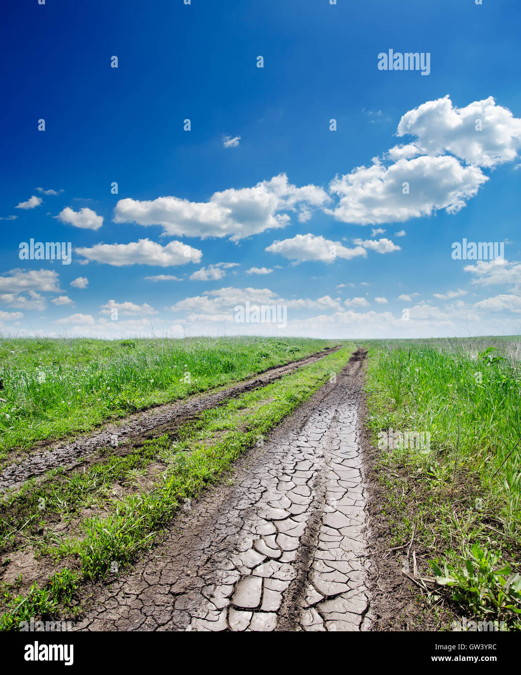 cracked rural road in green grass Stock Photo - Alamy