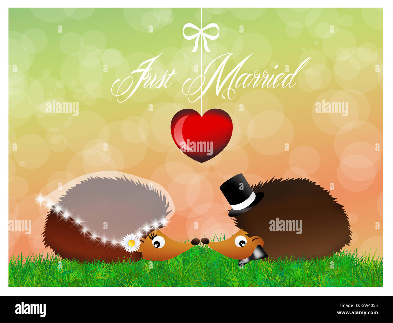 hedgehog in love Stock Photo - Alamy