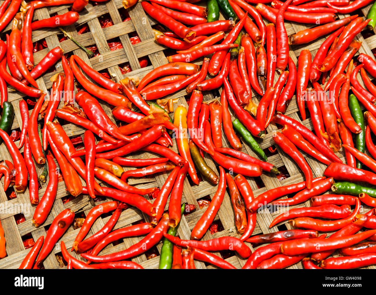 Preservation procedure hi-res stock photography and images - Alamy