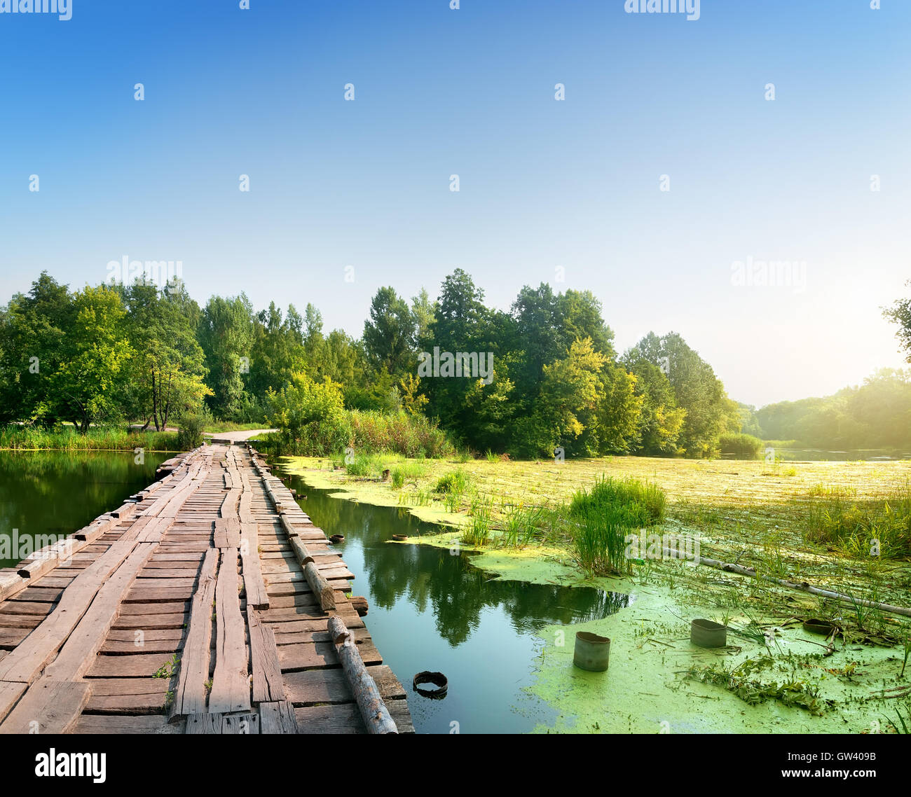 Bridge over a swampy river Stock Photo - Alamy