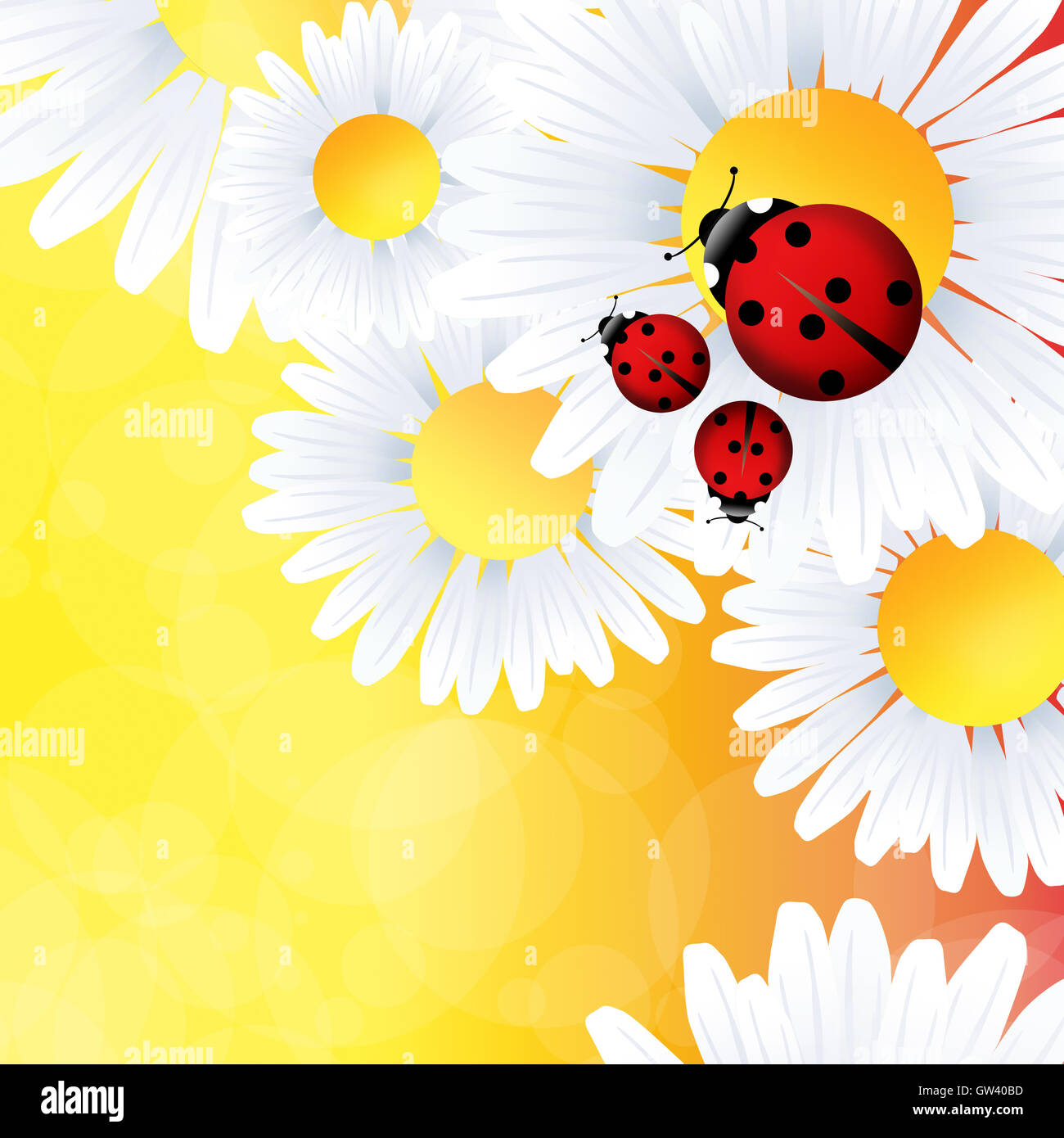 Ladybugs on flower Stock Photo - Alamy