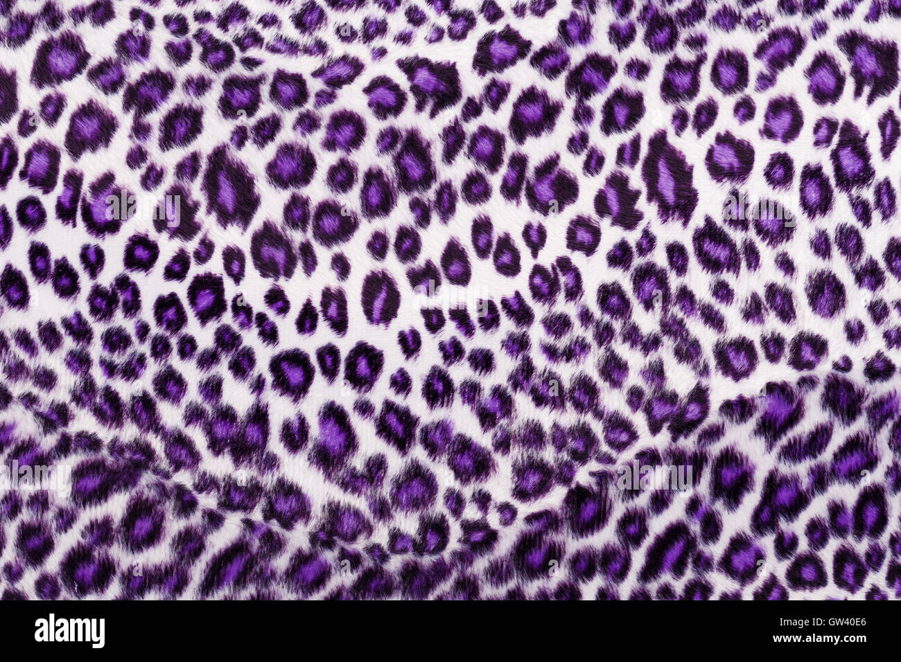 Purple leopard hi-res stock photography and images - Alamy