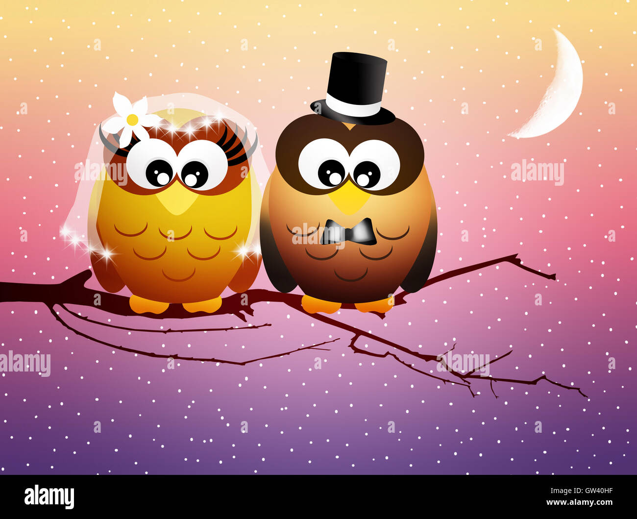 Owl in love Stock Photo - Alamy