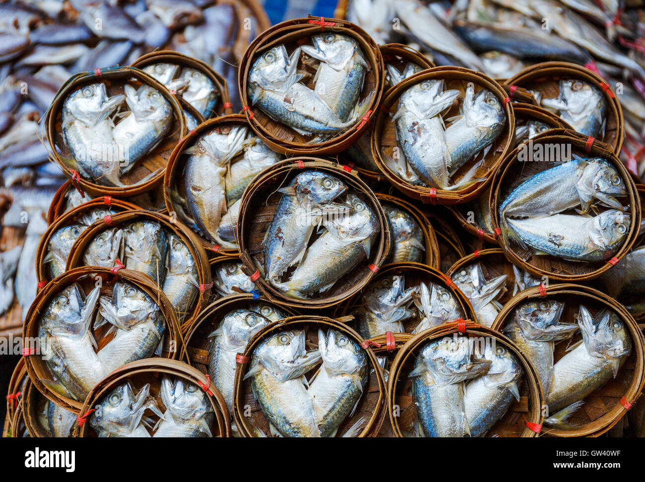 Fish in barrels hi-res stock photography and images - Alamy