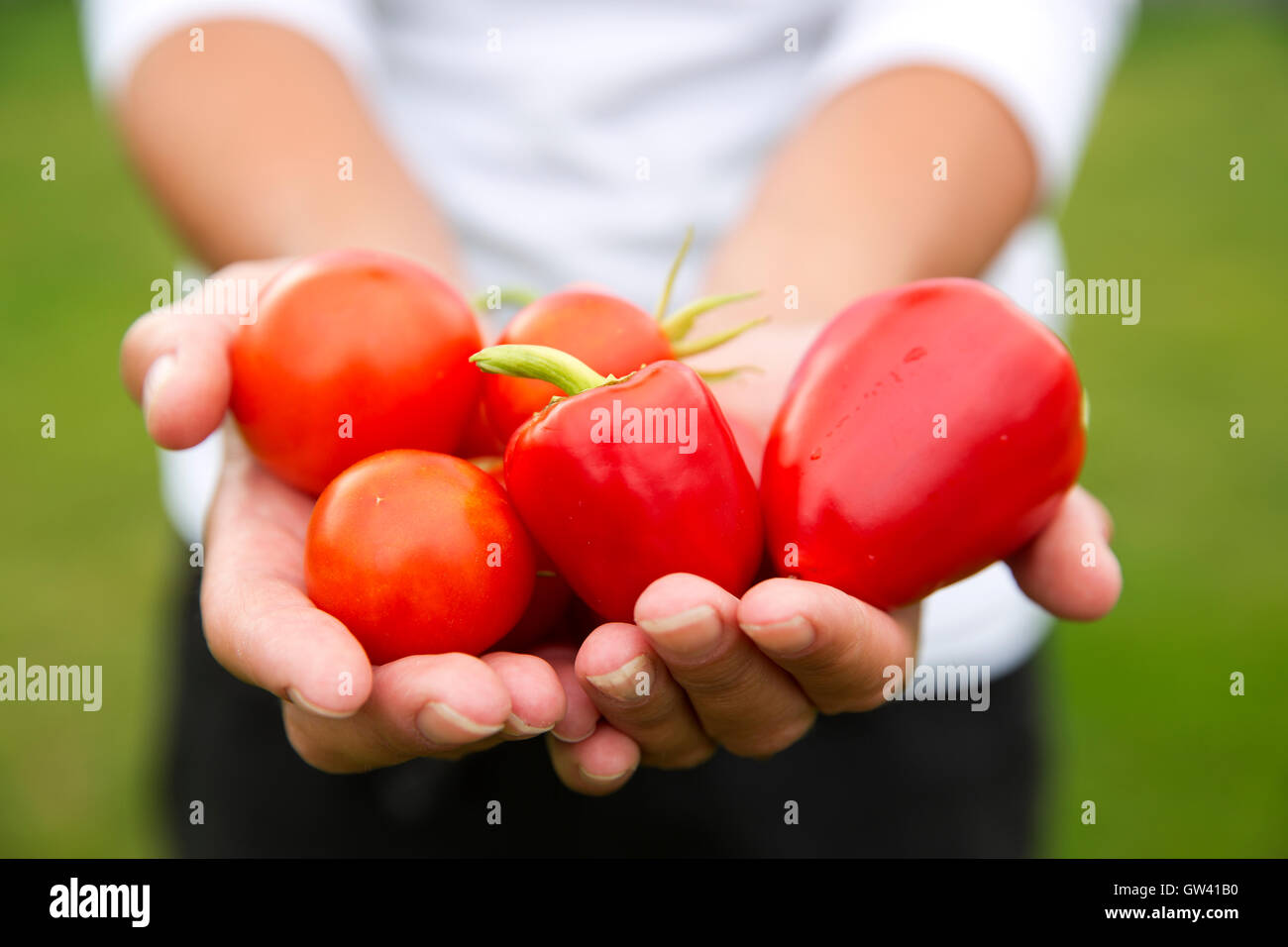 Vegetables in hands Stock Photo - Alamy