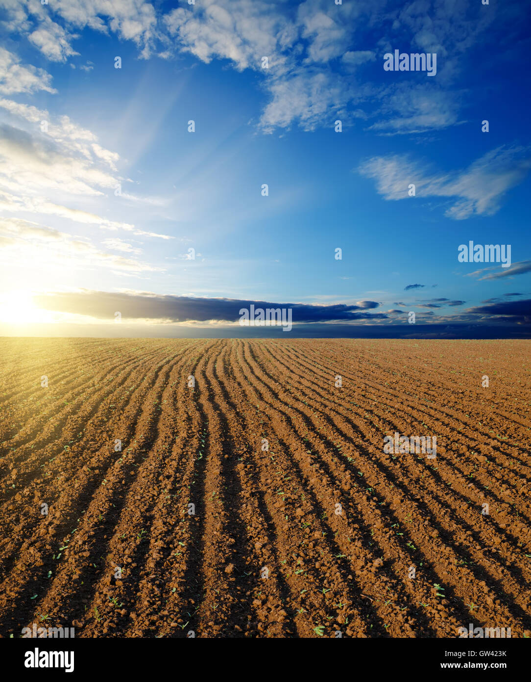 black ploughed field and sunset Stock Photo - Alamy