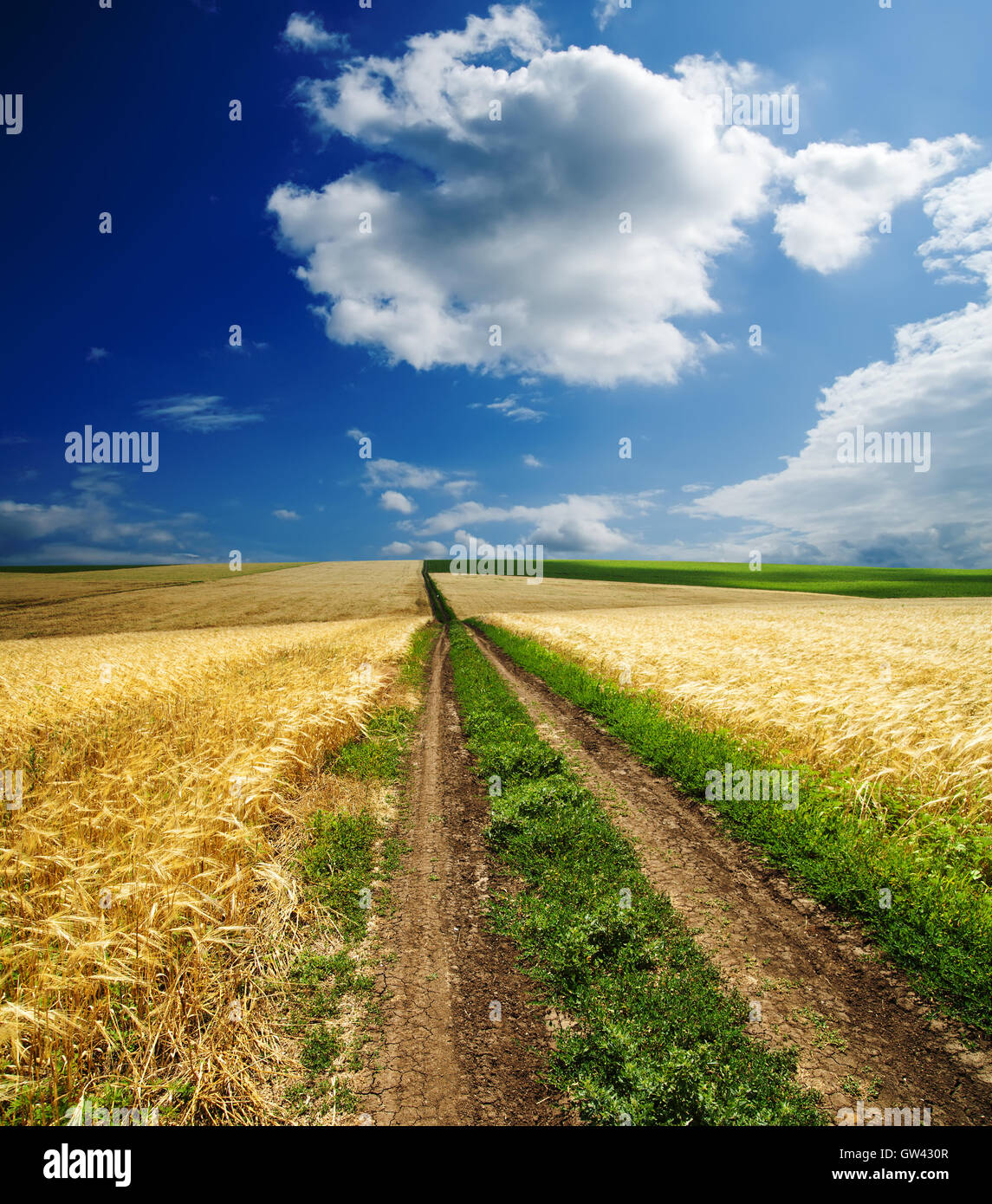 road in field under clouds Stock Photo - Alamy