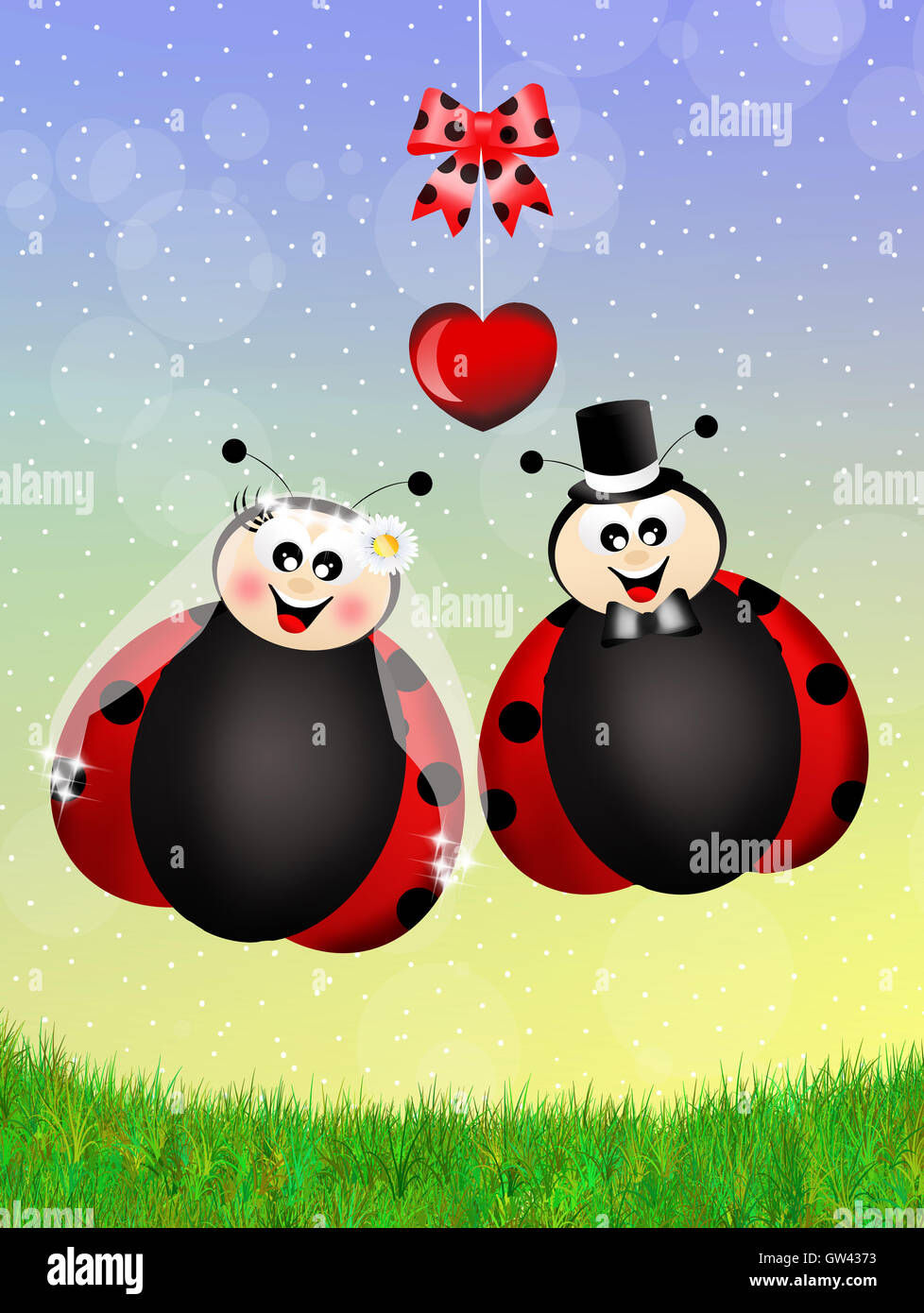 Ladybugs in love Stock Photo - Alamy