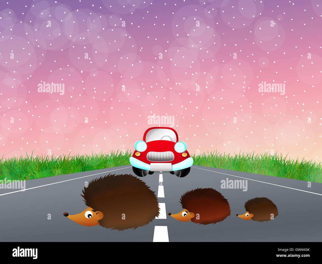 Hedgehogs on the road Stock Photo - Alamy