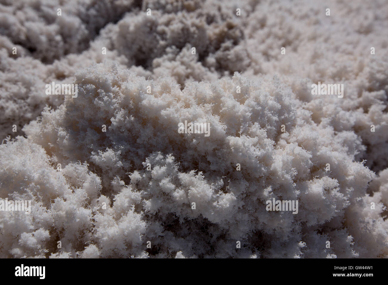 Badwater Basin Death Valley salt textures macro Stock Photo - Alamy